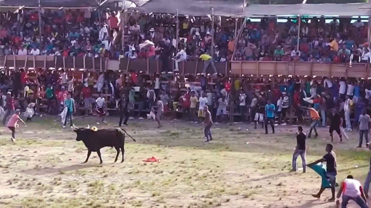 Gobernador de Antioquia invita a cumplir normas en corralejas