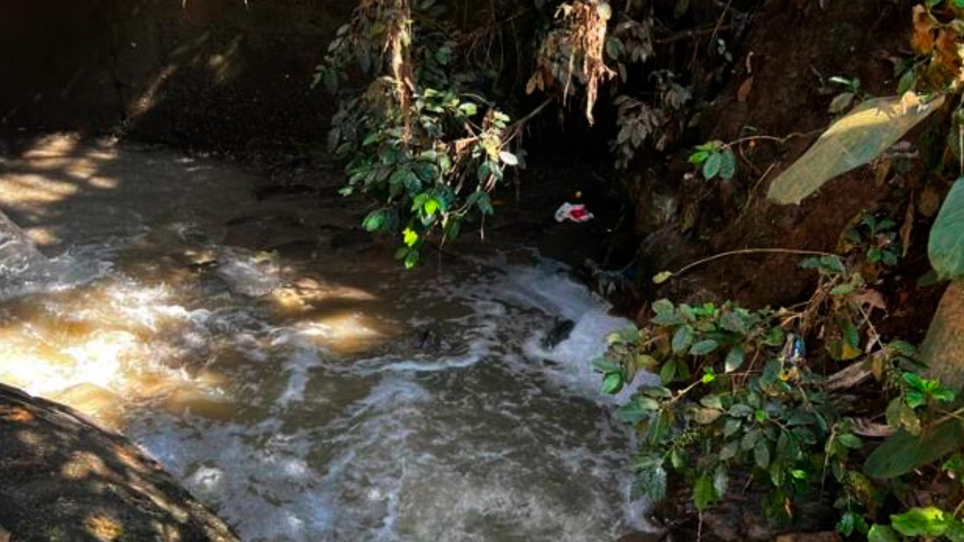 Encuentran cadáver sin cabeza en quebrada de Medellín
